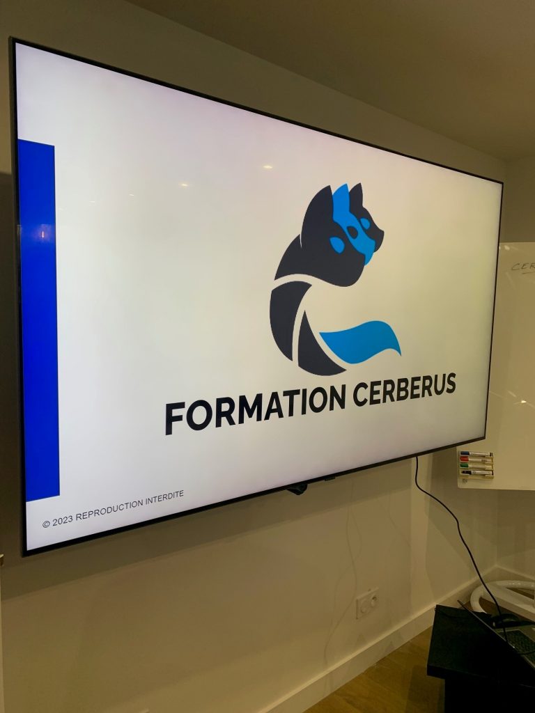 E-nov (ESN) : Conseils et Services Numériques pour vos métiers